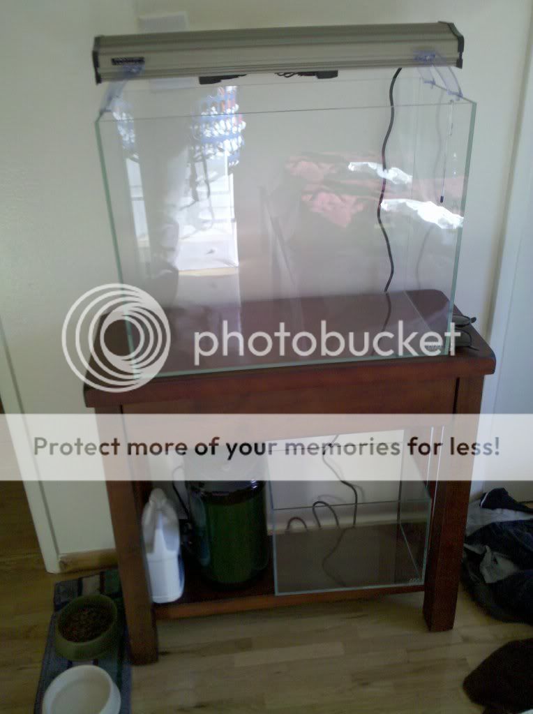 ADA 60H and Mini M build - I may have a problem! | The Planted Tank Forum