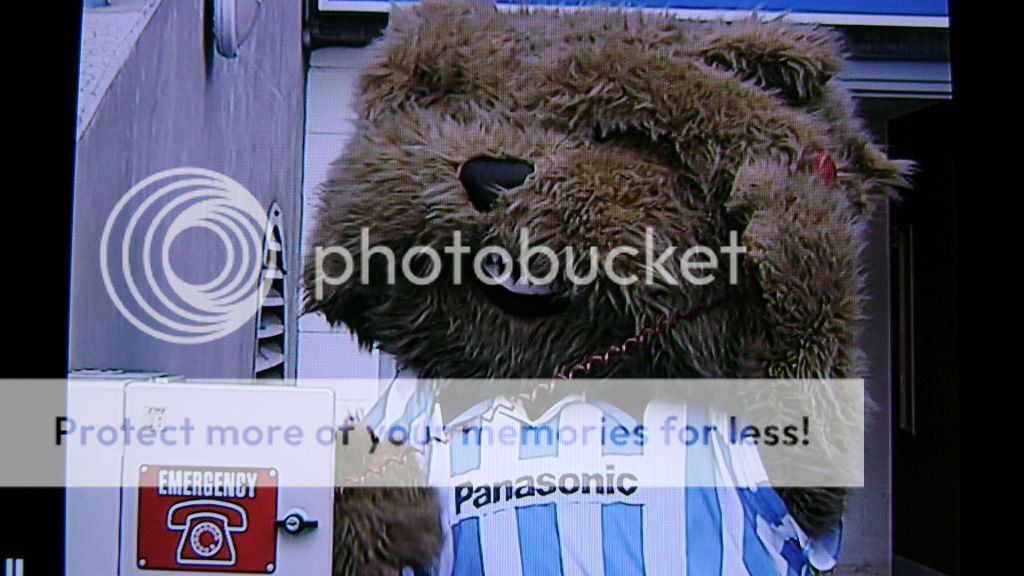 Town announce the new look Terry the Terrier!... He actually looks like ...