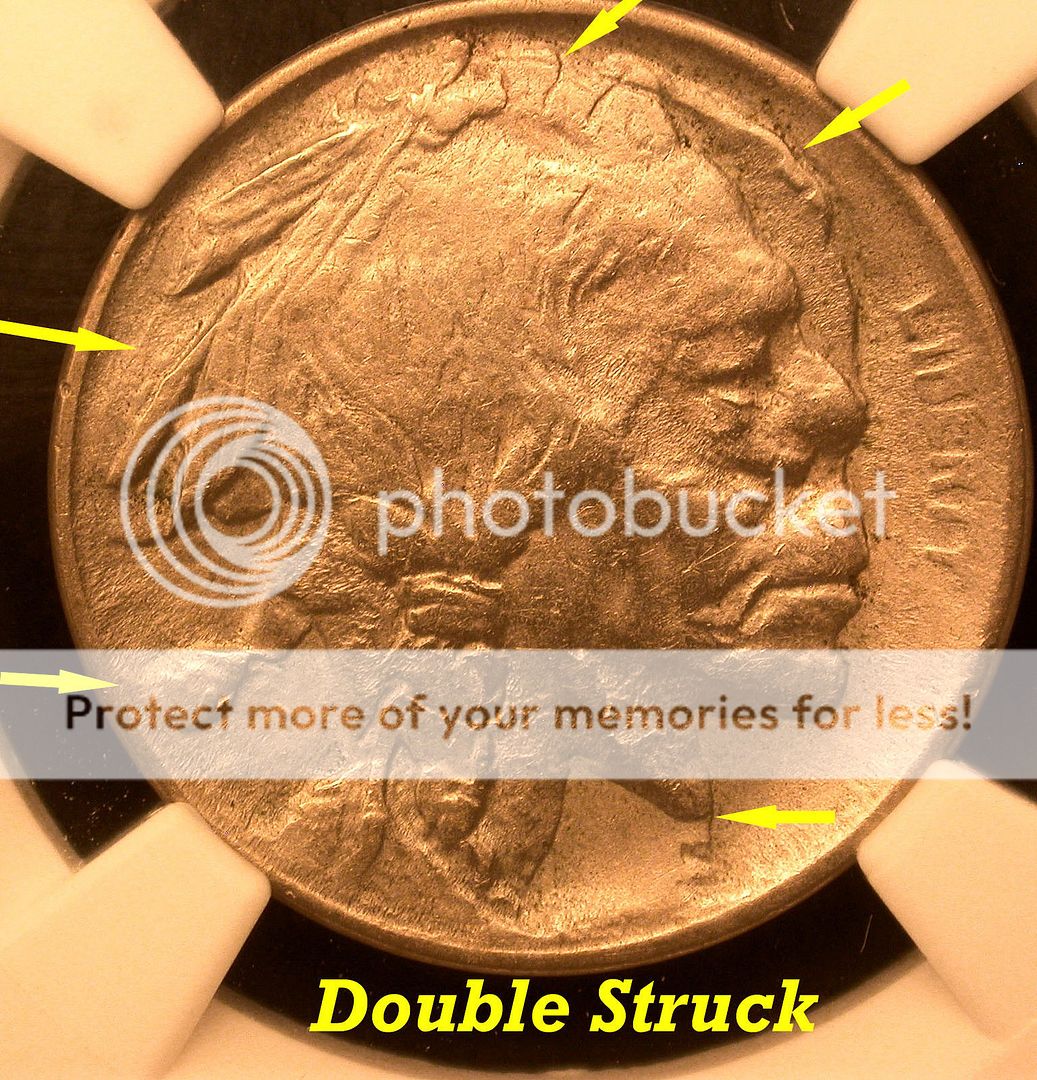 1913 type one double struck buffalo nickel — Collectors Universe